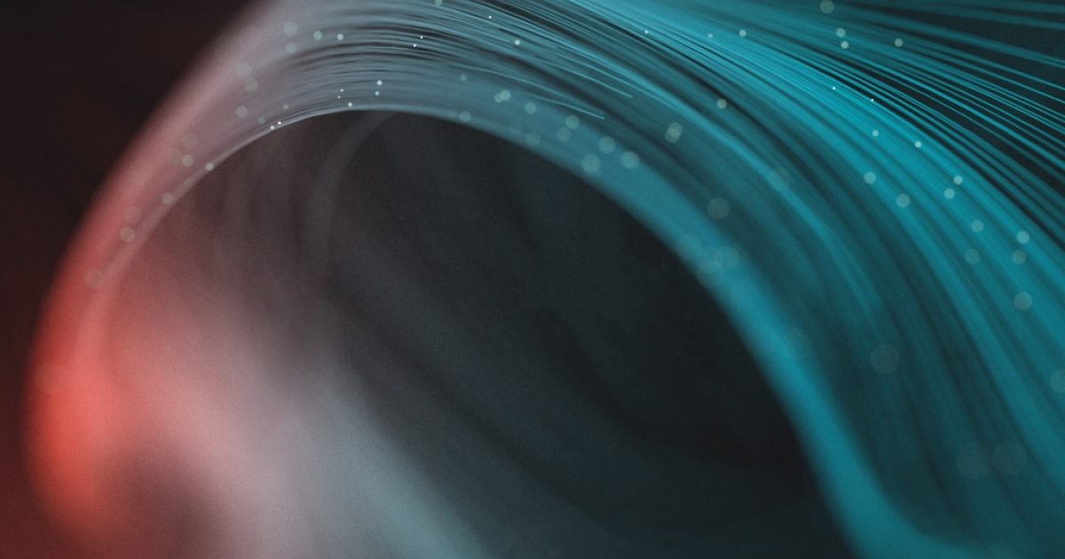 Transparency matters for Startups | Connectd | Connectd